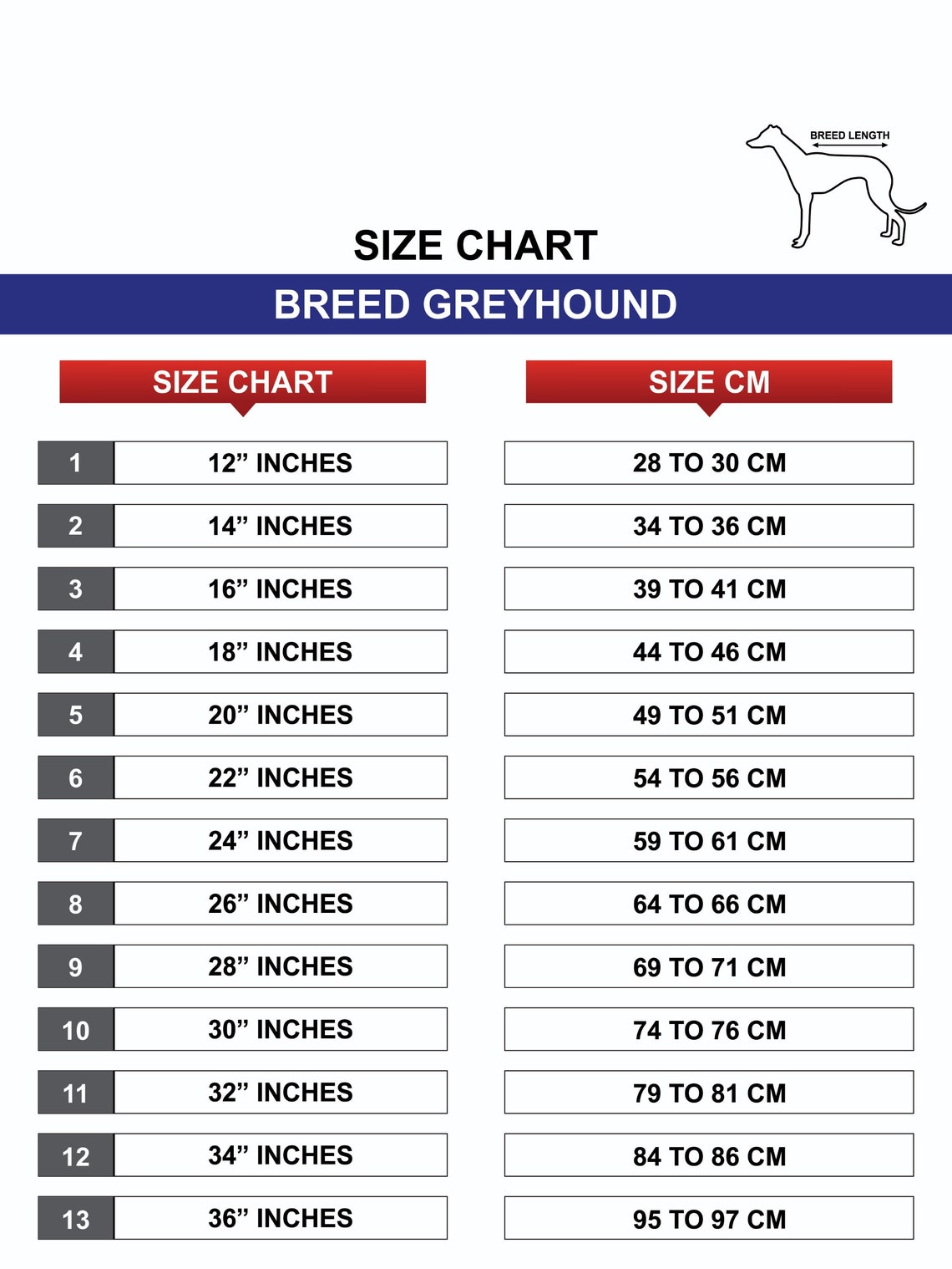 Whippet Pet Dog Greyhound Waterproof Rain Mac Multi Colour 26"28"30"32 ...