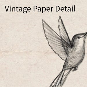 Vintage Hummingbird Art Print, Retro Bird Hand Drawn Sketch, Tiny ...