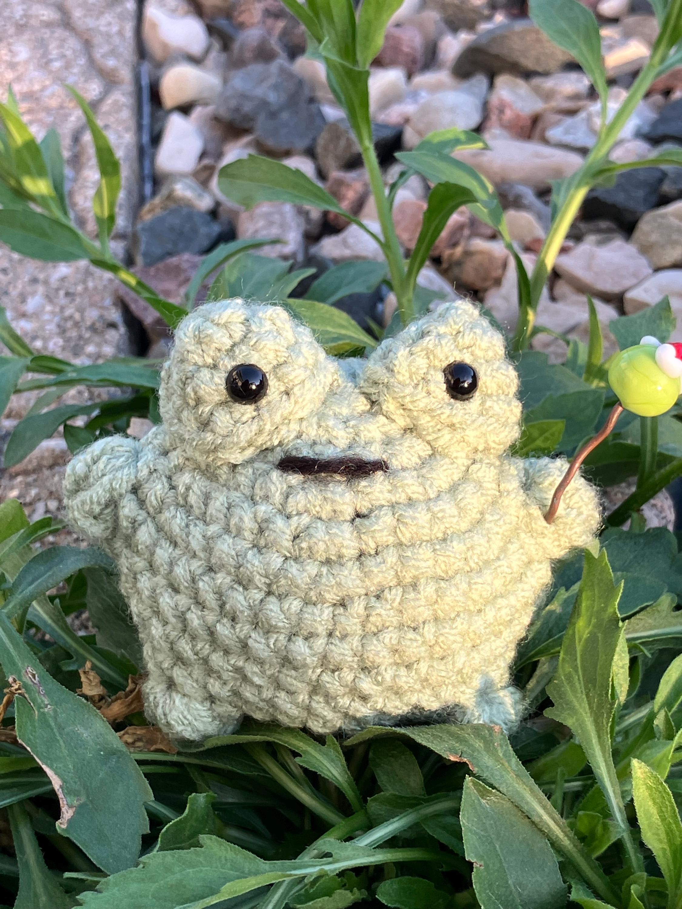 Chonky Frog Crochet Pattern, Amigurumi Crochet Pattern, Easy Beginner ...