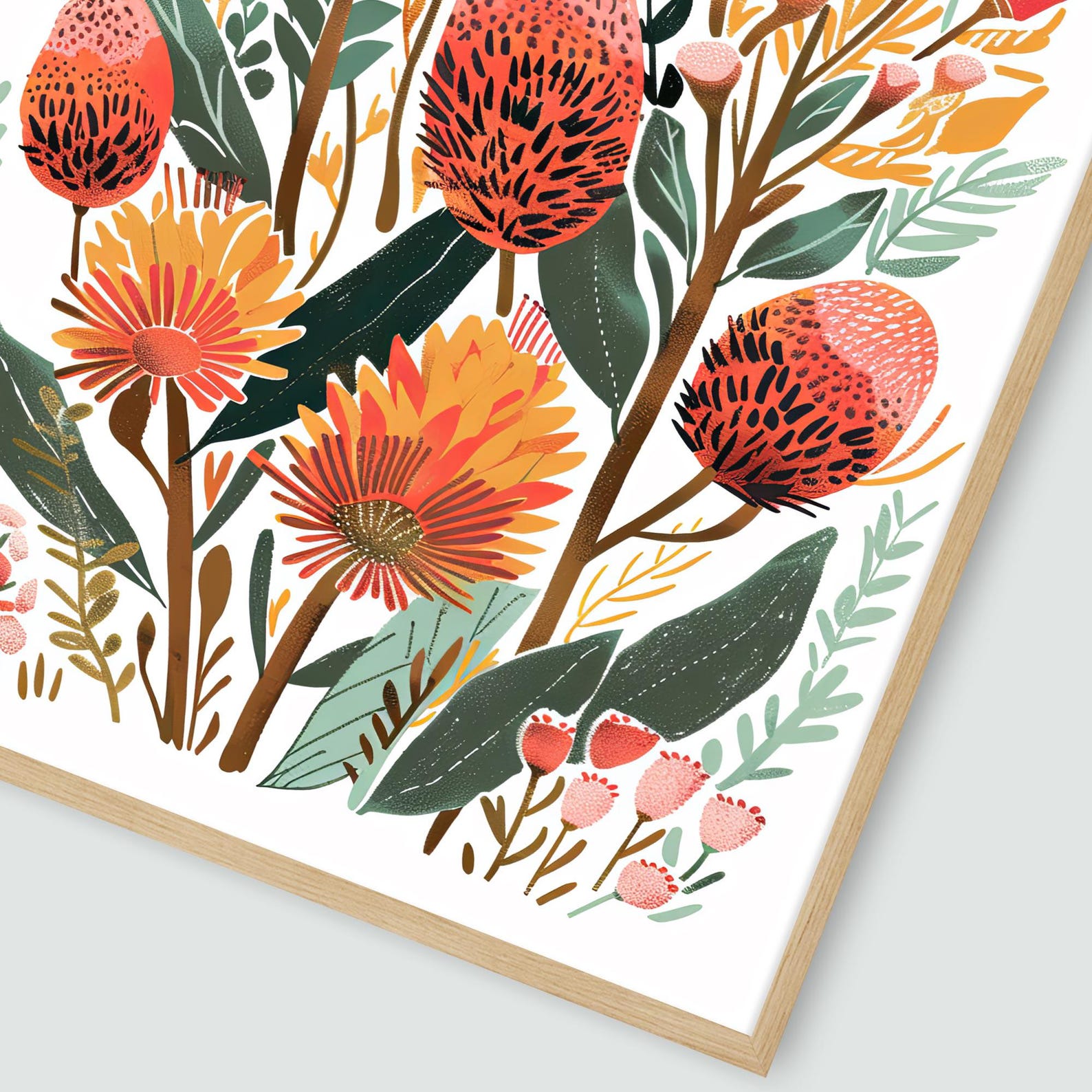 Banksia Bloom Illustration, Australian Native Floral Print, Digital ...