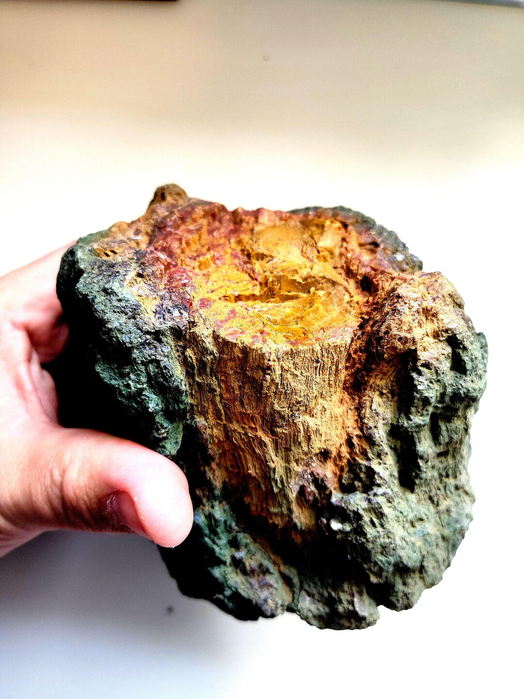 Petrified Wood. Agatized and Jasperized Wood. Red, Yellow, Green - Etsy