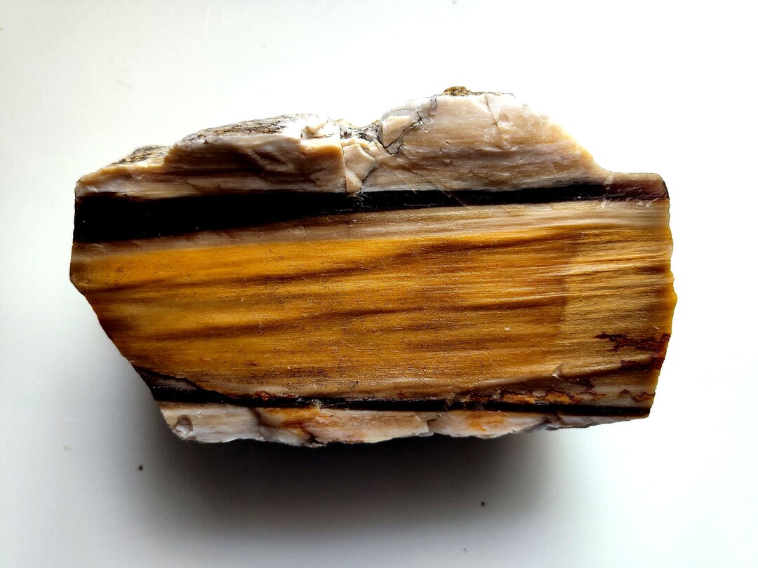 Petrified Wood. Yellow Core With a Beautiful Crystal Throughout. - Etsy