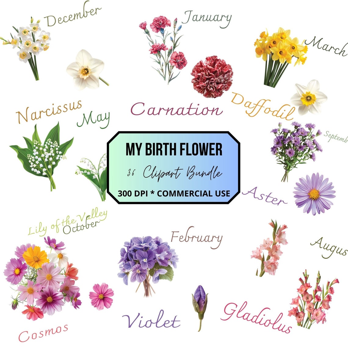 Birth Flower Clipart, Family Birth Flowers, Lily, Aster, Carnation ...