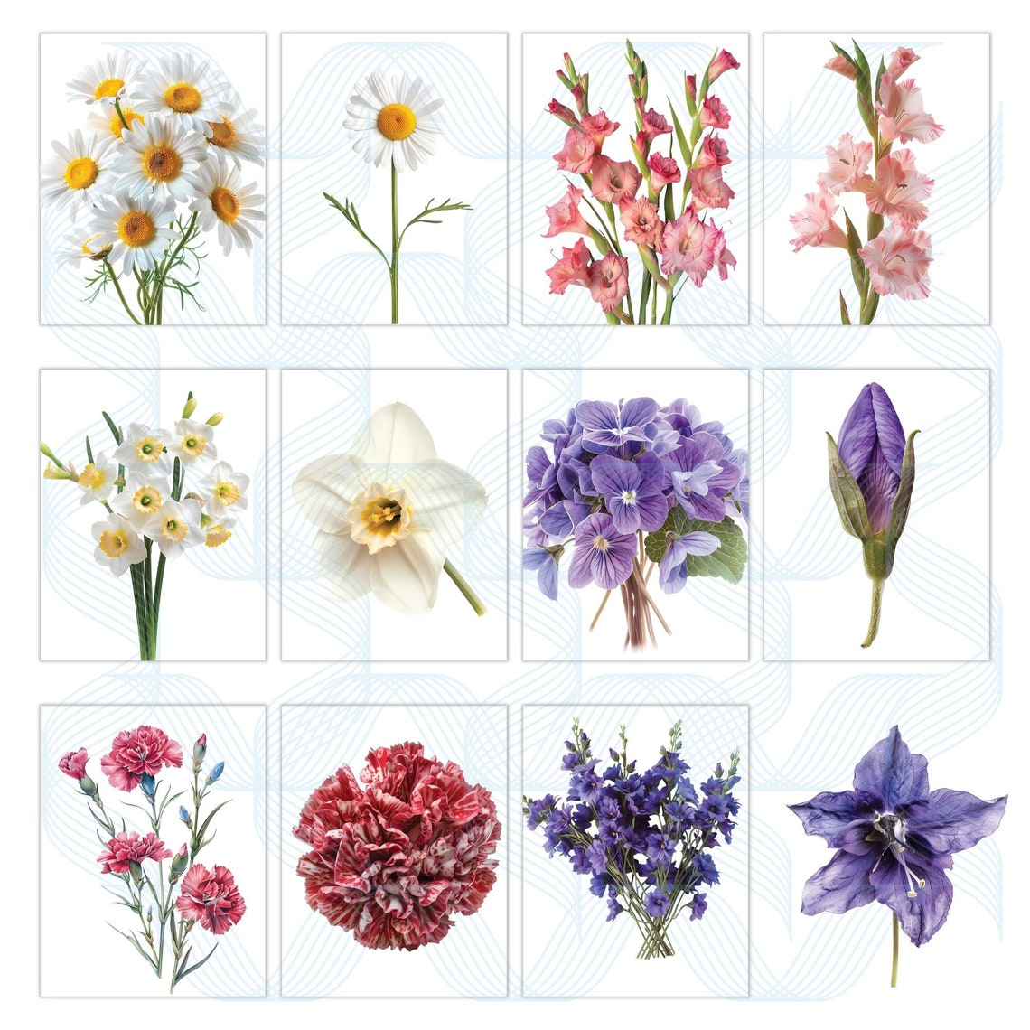 Birth Flower Clipart, Family Birth Flowers, Lily, Aster, Carnation ...