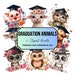 Graduation Animals Clipart, Watercolor Cute Academic Celebration ...