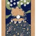 Transient Light Tarot Deck by Ari Wisner - Etsy