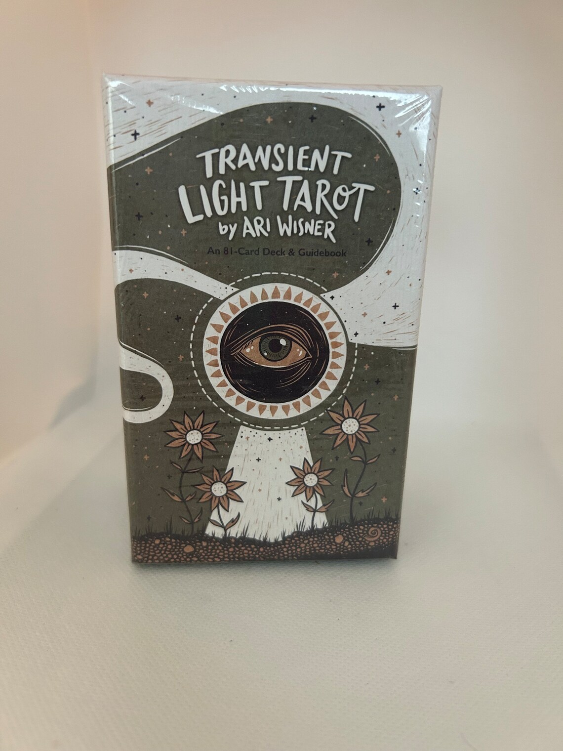 Transient Light Tarot Deck by Ari Wisner - Etsy