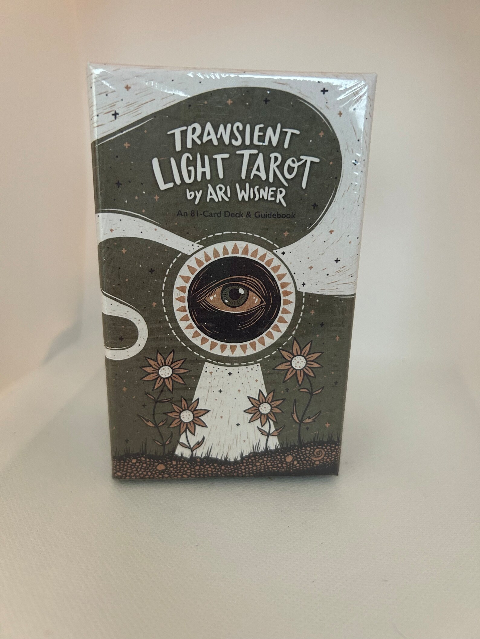 Transient Light Tarot Deck by Ari Wisner - Etsy