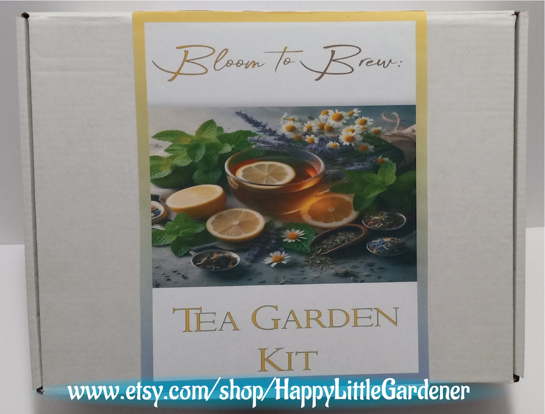 Bloom to Brew: Complete Herbal Tea Gardening Starter Set With Seed ...