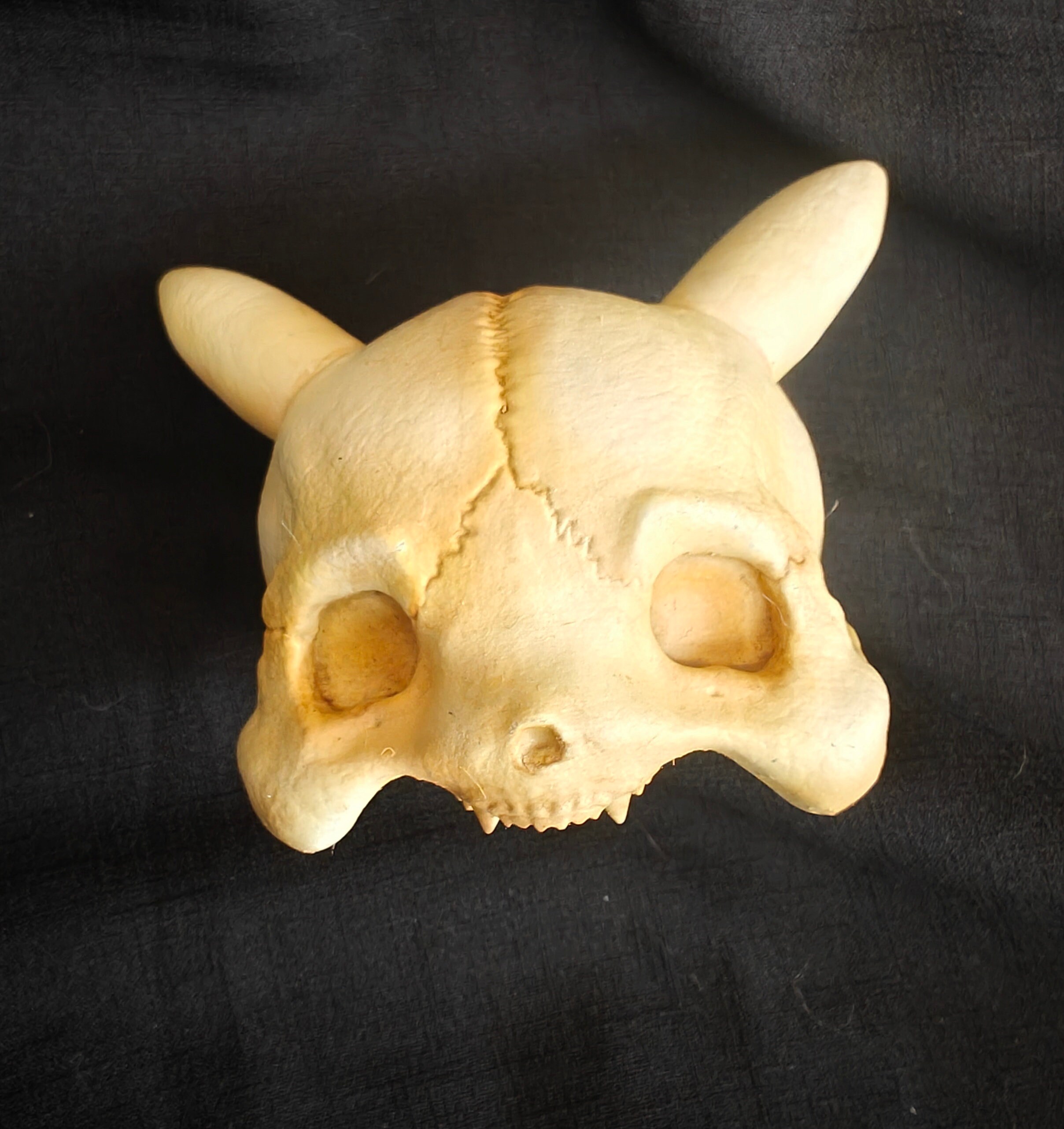 Realistic Pikachu Pokemon Skull Taxidermy - Etsy