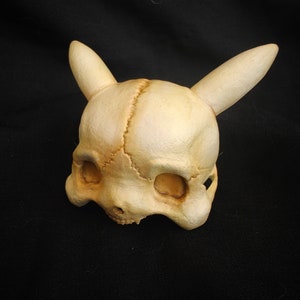 Realistic Pikachu Pokemon Skull Taxidermy - Etsy