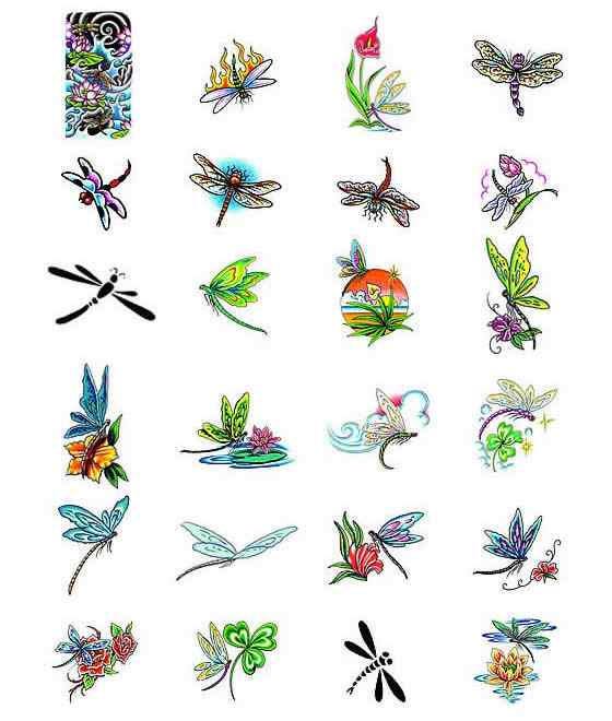 Beautiful Dragonfly Tattoo Flash Sheet for Tattooing/stickers/decals ...