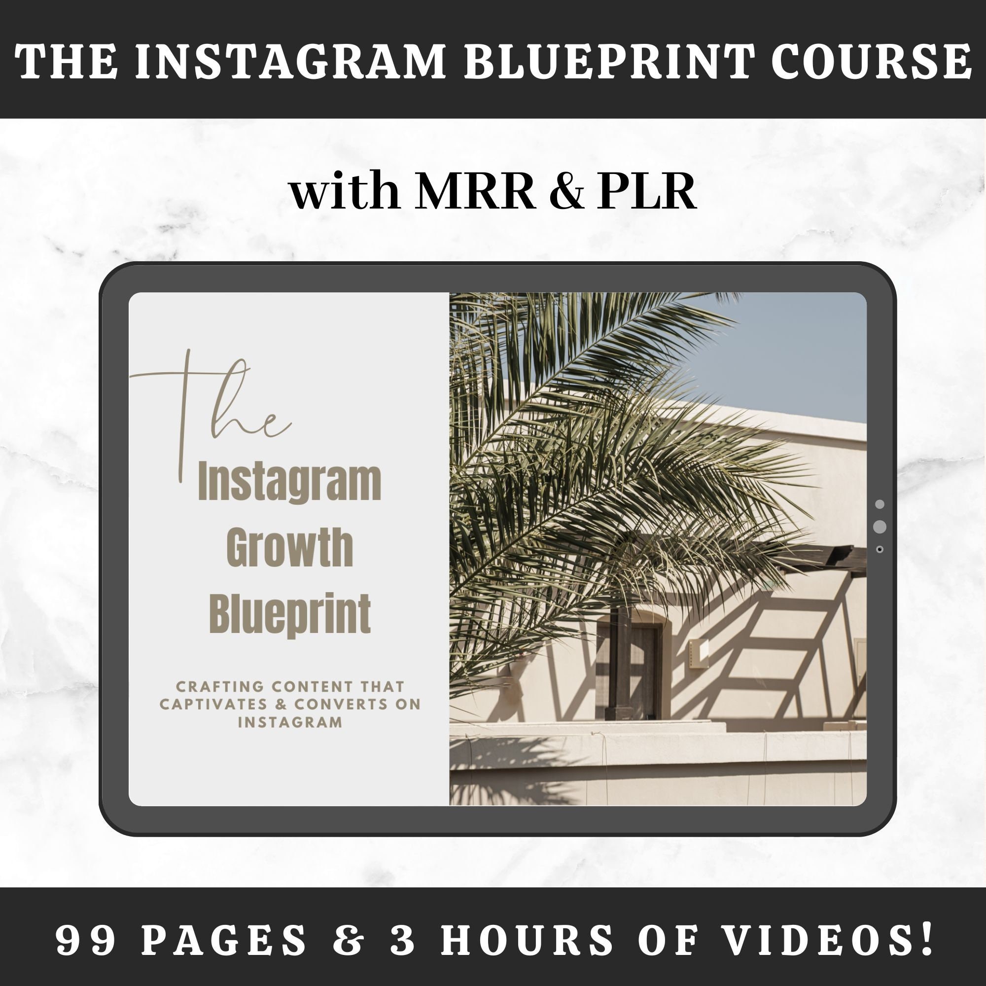 The Instagram Growth Blueprint - MMR Course - Instagram Guide With PLR ...
