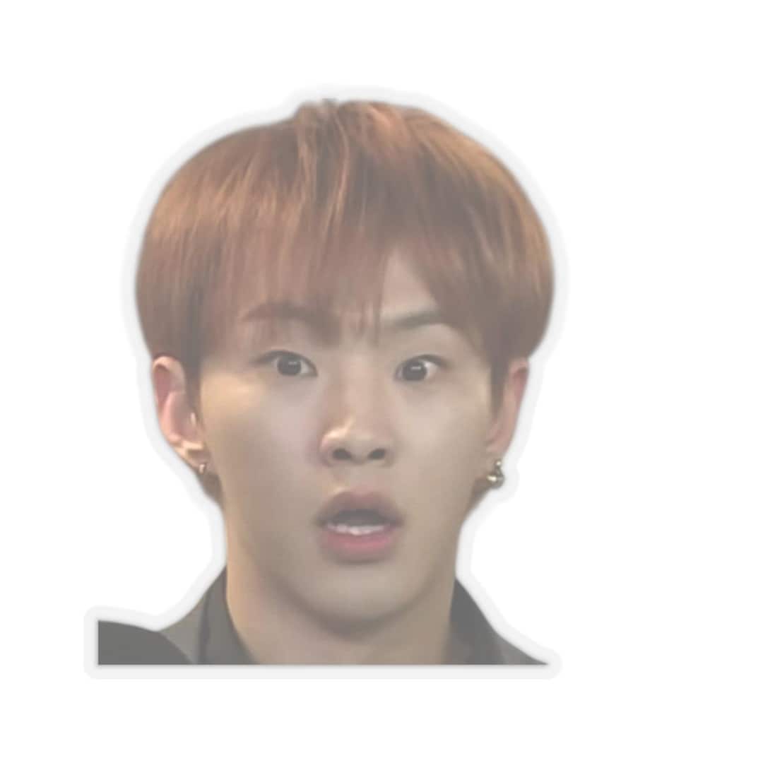 Seventeen Hoshi Kiss-cut Stickers, Kpop Merchandise, Cute Band Members ...