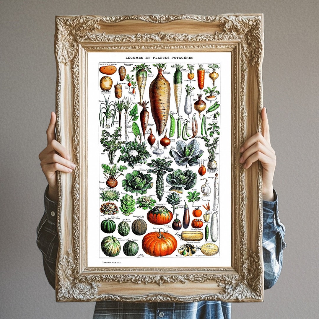 Vintage Printable Posters Movie Poster Vintage Film Poster Art Print ...