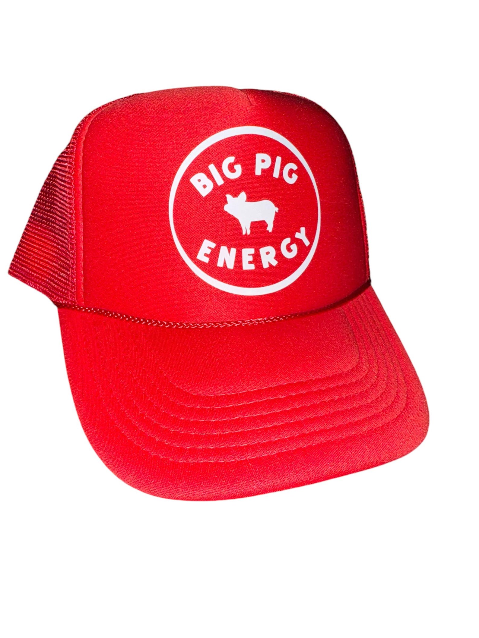 Big Pig Energy, Hogs Hat, Arkansas Hat, Pigs Hat, Beach Hat, Pool Hat ...