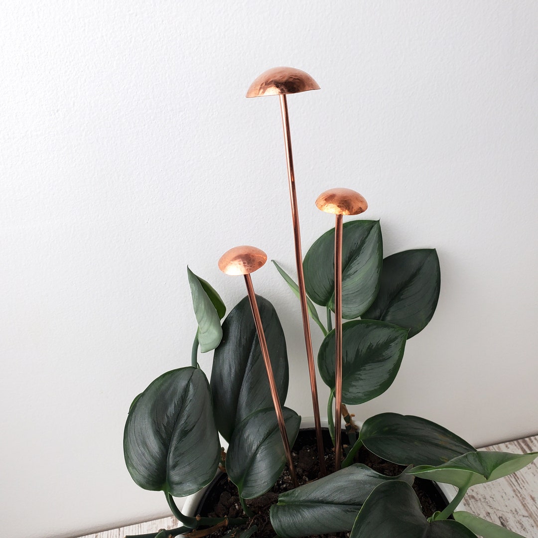 Mushroom Plant Stick, Mushroom Plant Stake, Spring Plant Accessories ...