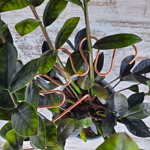 Indoor Copper Plant Support Stake, Garden and Houseplant Accessories ...