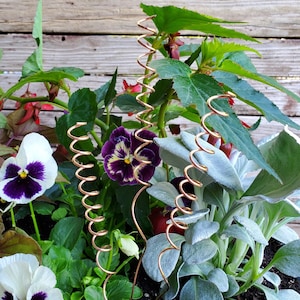 Electro Culture Rods for Plants, Copper Electroculture Garden Stake ...