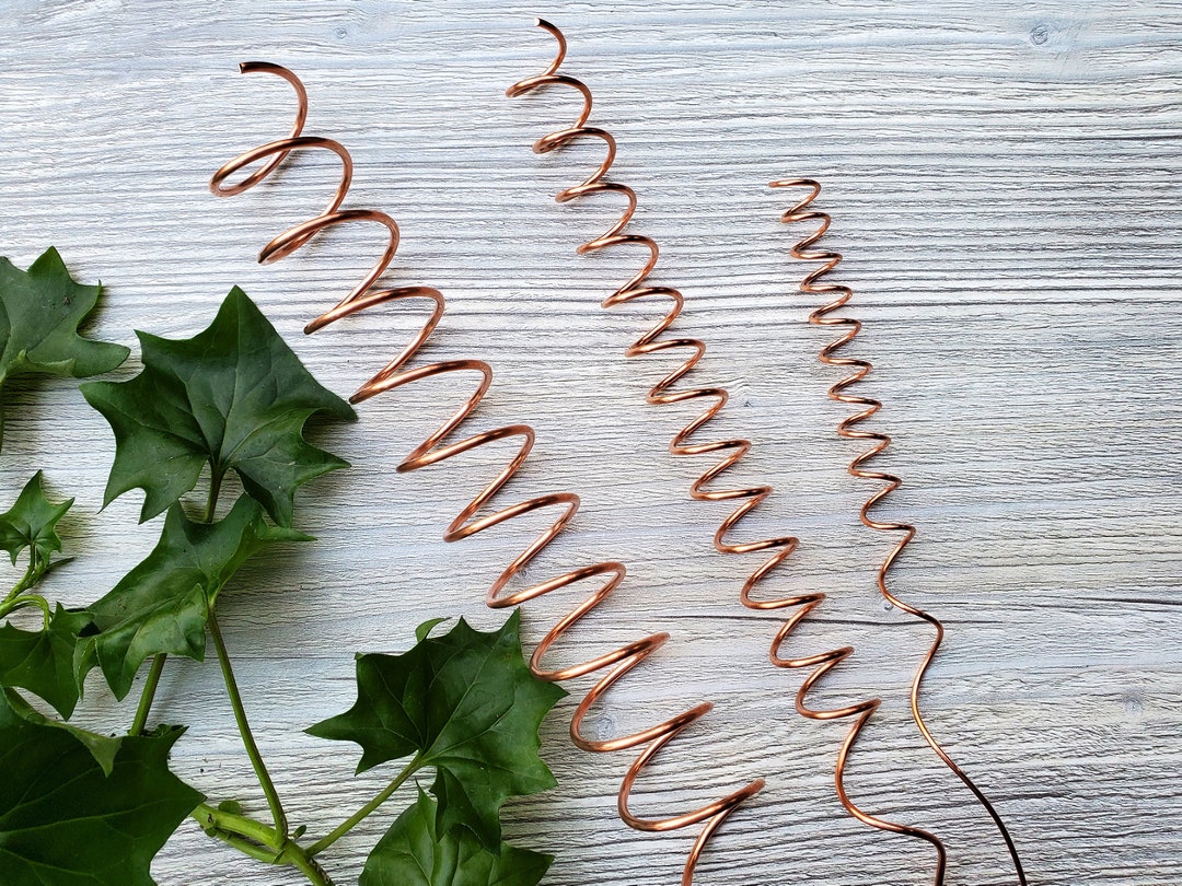 Electro Culture Rods for Plants Copper Electroculture Garden - Etsy