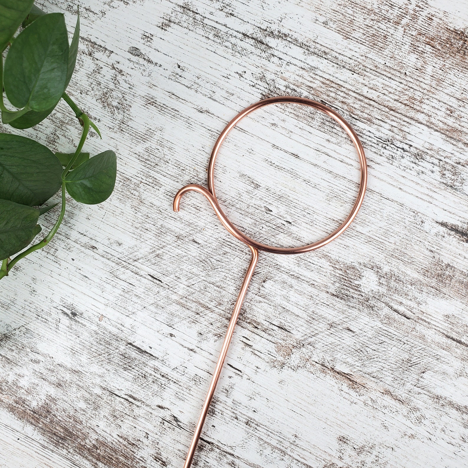 Copper Plant Trellis, Circle Stake With Anchor, Houseplant Care ...