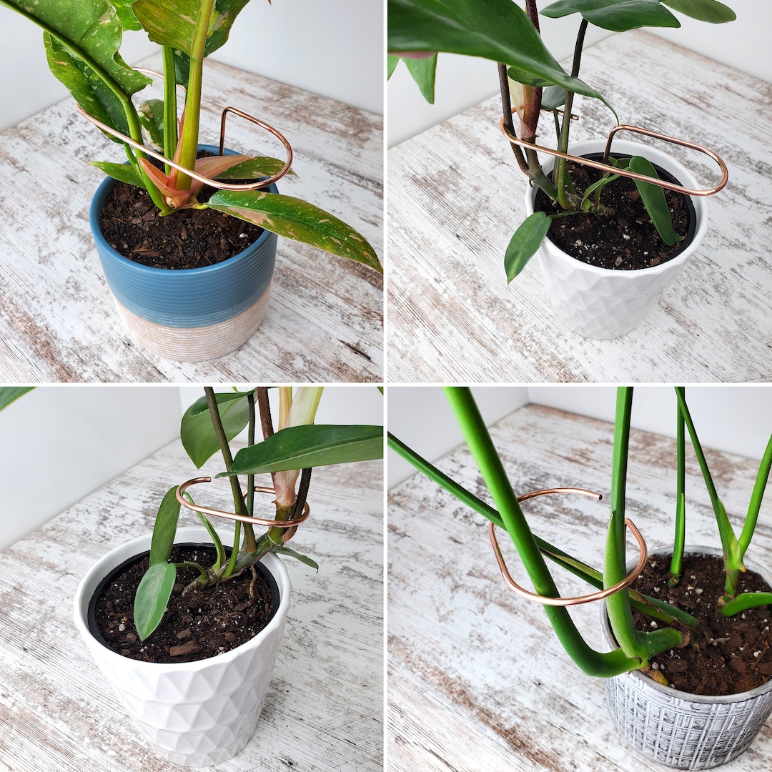 Copper Track Plant Sticks, Copper Plant Support Stakes, Indoor Plant ...