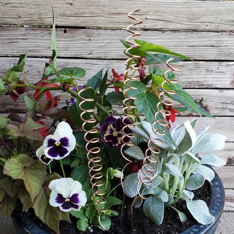 Electro Culture Rods for Plants, Copper Electroculture Garden Stake - Etsy