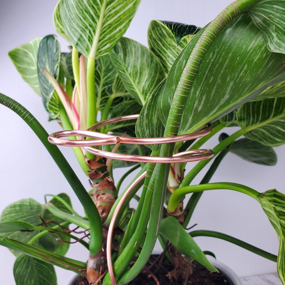 Elegant Copper Plant Stake for Indoor and Outdoor Gardening, Decorative ...