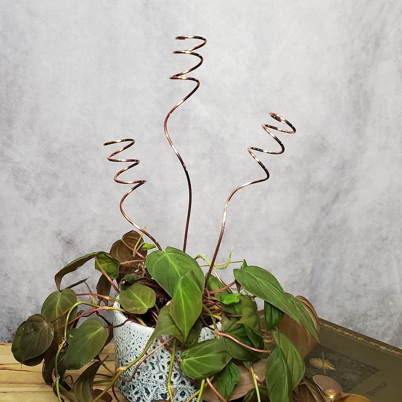 Copper Spiral Plant Stake, Decorative Houseplant Support Stick - Etsy