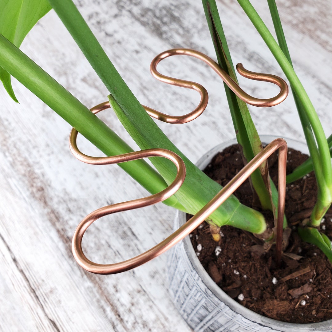 Plant Stem Support Stake, Houseplant Accessories, Spring Plant Care - Etsy