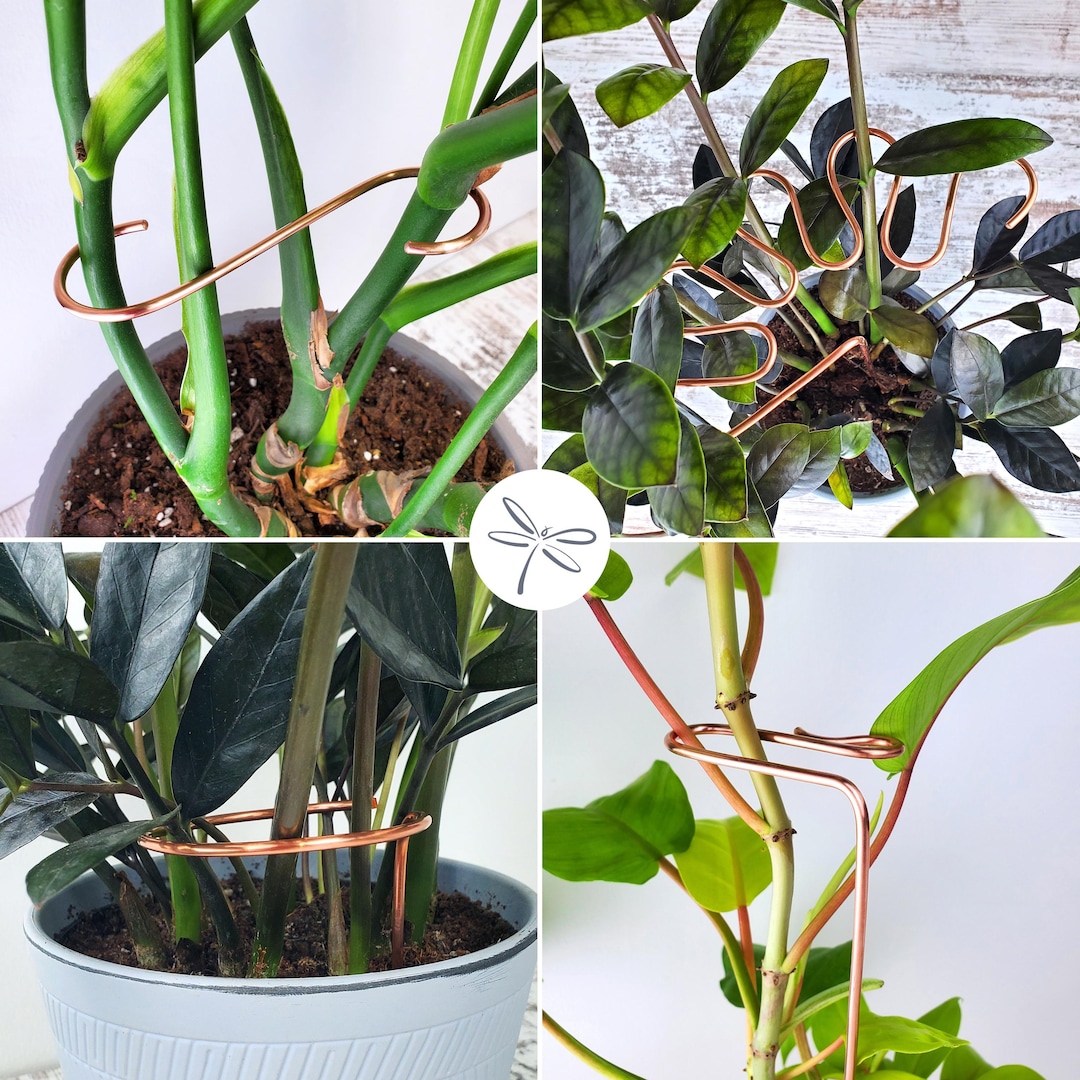 Decorative Copper Plant Stakes, Multiple Stem Support Stake, Modern ...