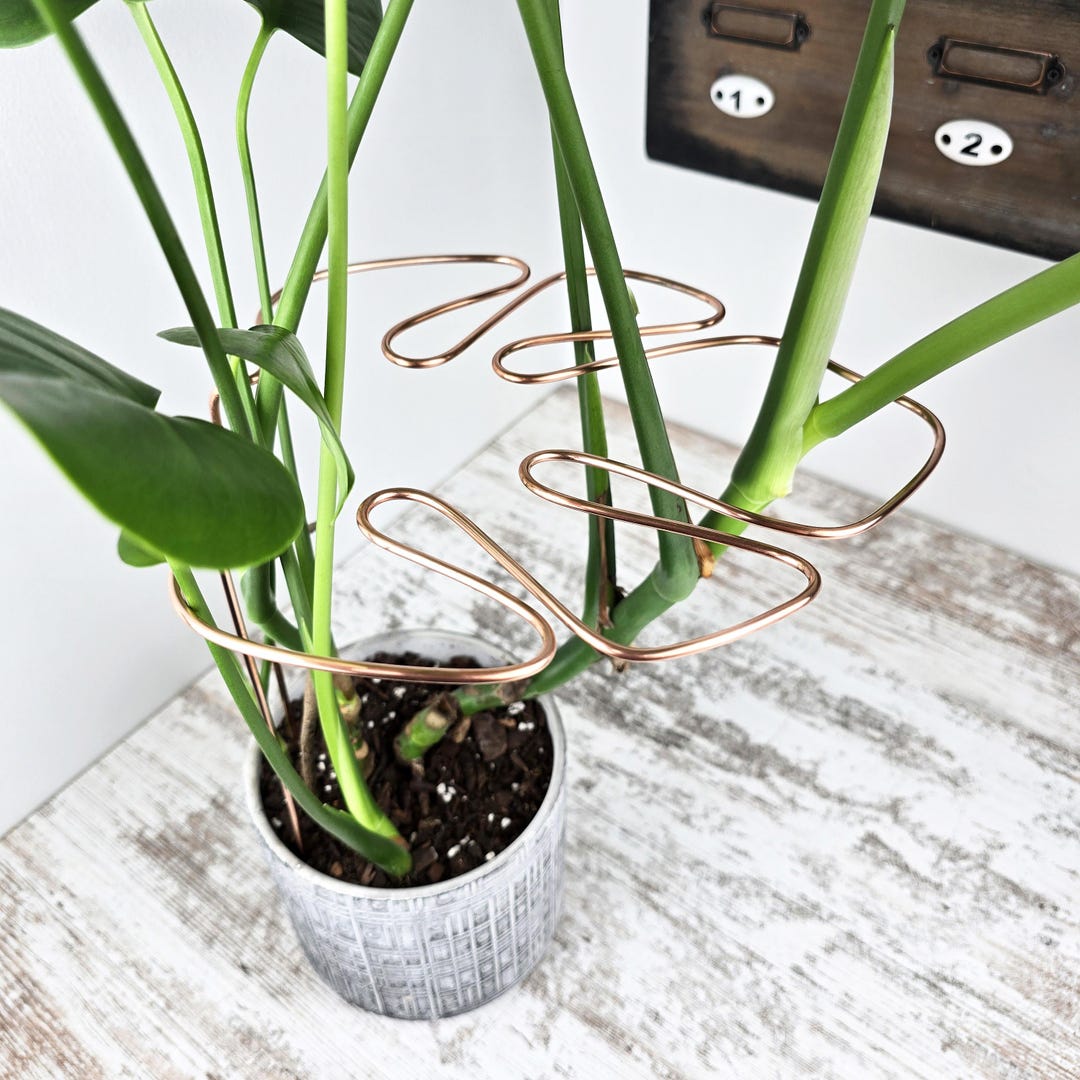 Monstera Leaf Plant Support Stake, Copper Indoor Plant Accessory, Plant ...