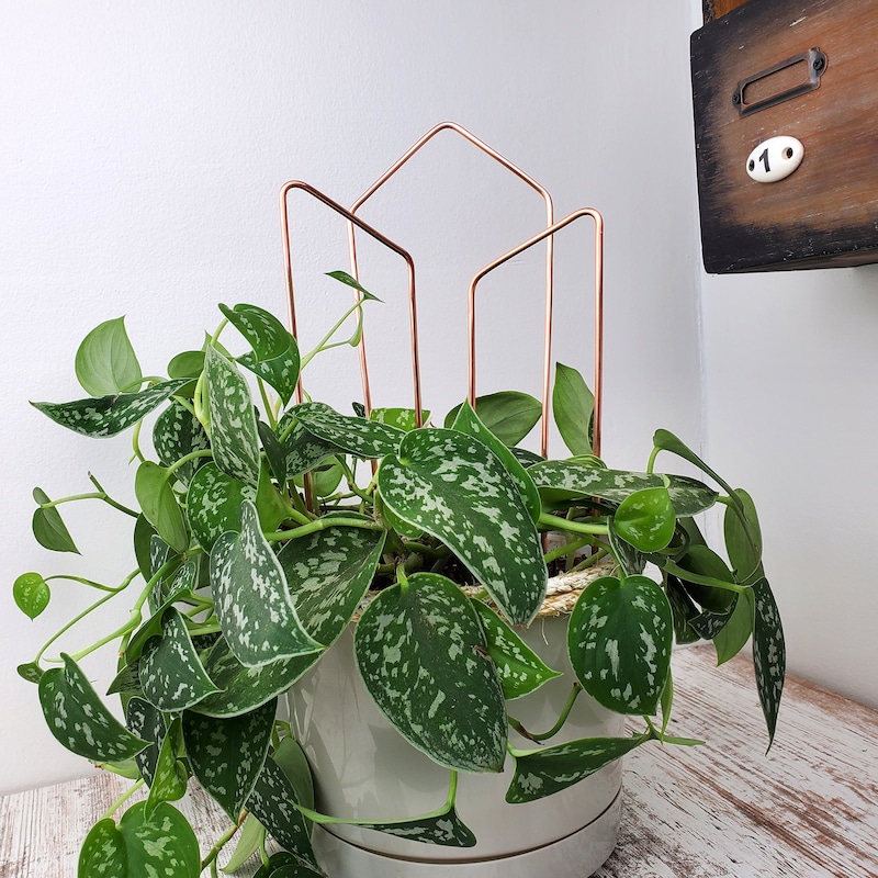 Geometric Trellis - Etsy