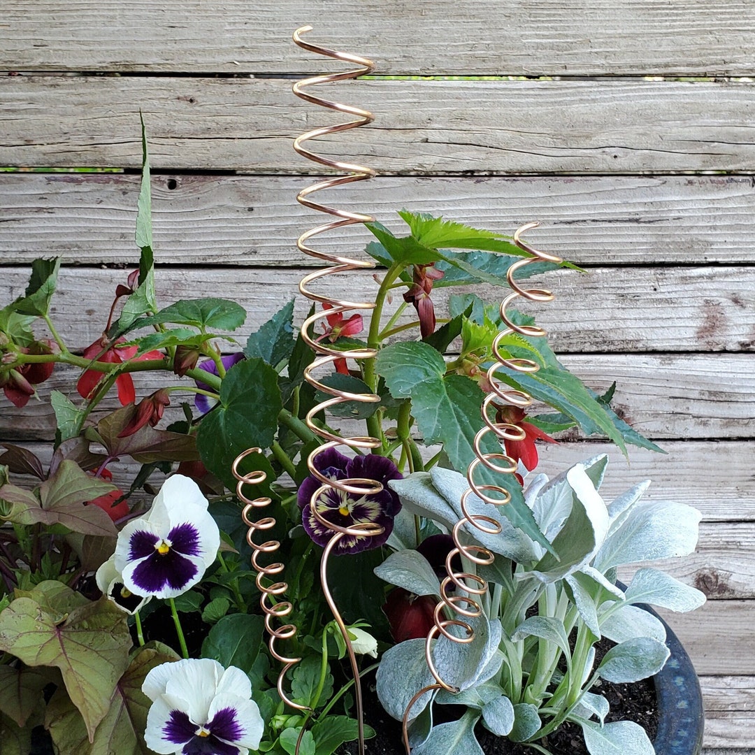 Copper Electroculture Stake Set, Copper Garden Stakes, Copper Plant ...