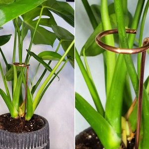 Plant Support Stake Copper Plant Stakes Indoor Plant - Etsy