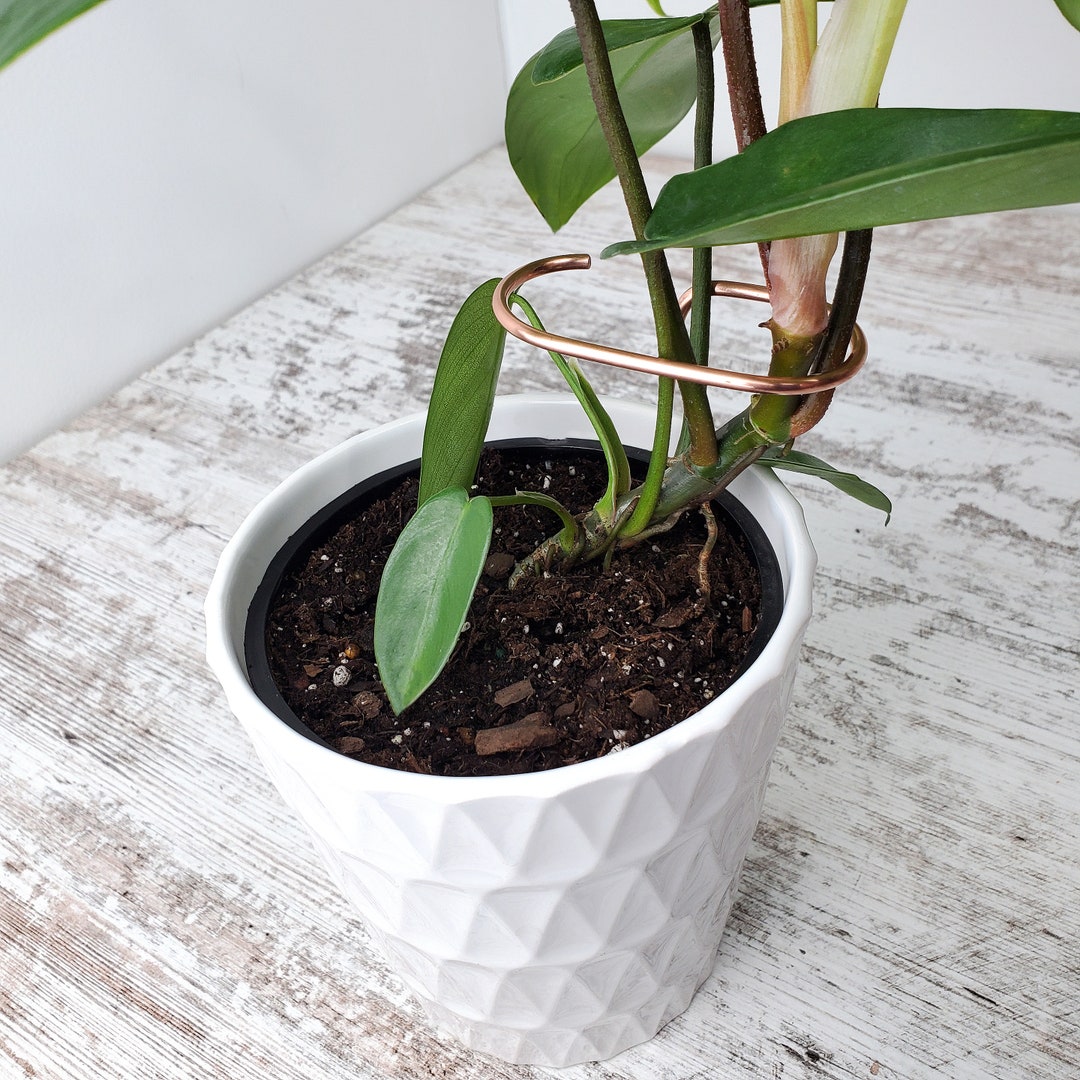 Indoor Plant Stake, Track Plant Support, Metal Houseplant Accessories ...