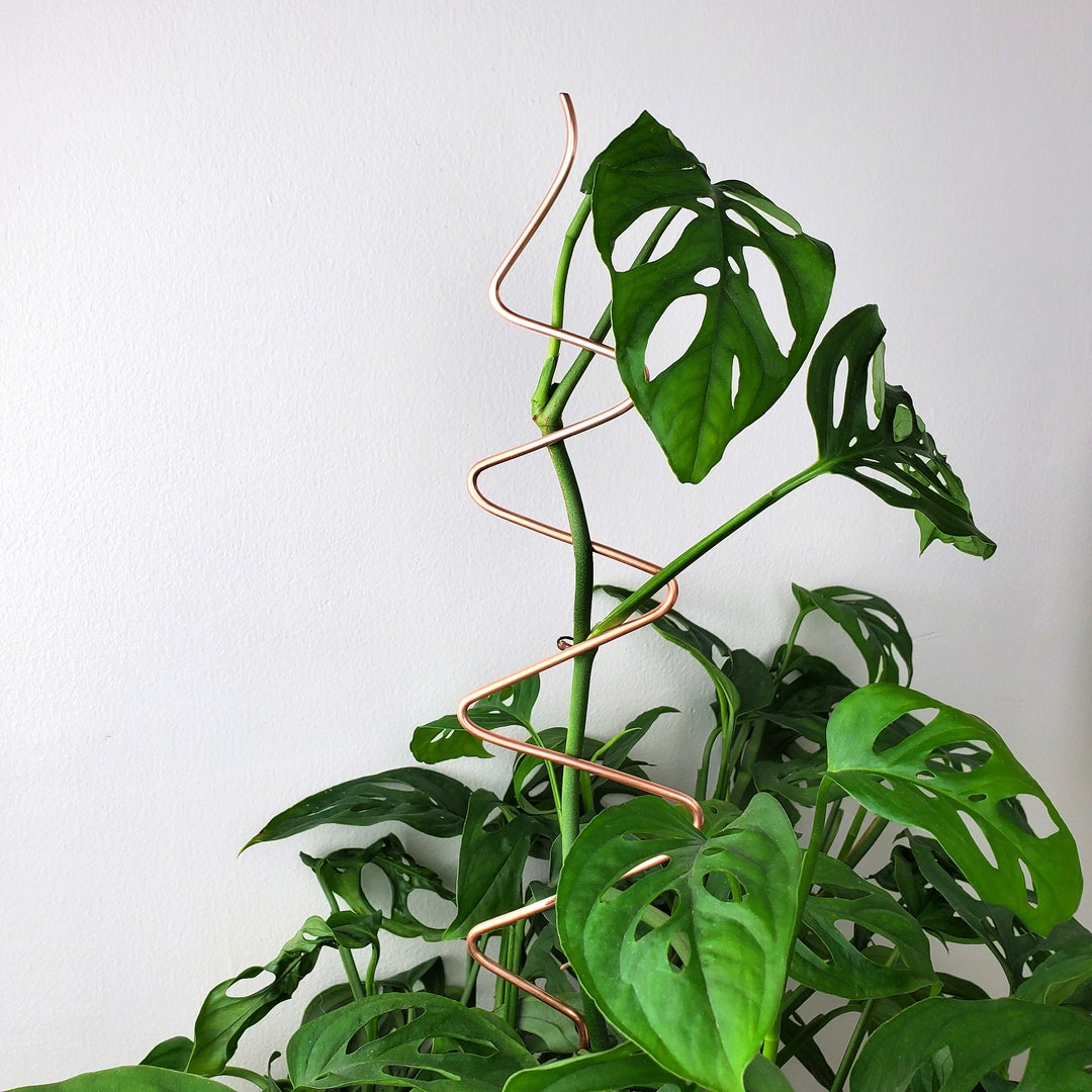 Copper Plant Trellis Stake, Decorative Indoor Stake, Houseplant Decor ...