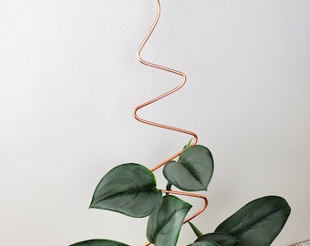 Begonia Movie Poster - Etsy