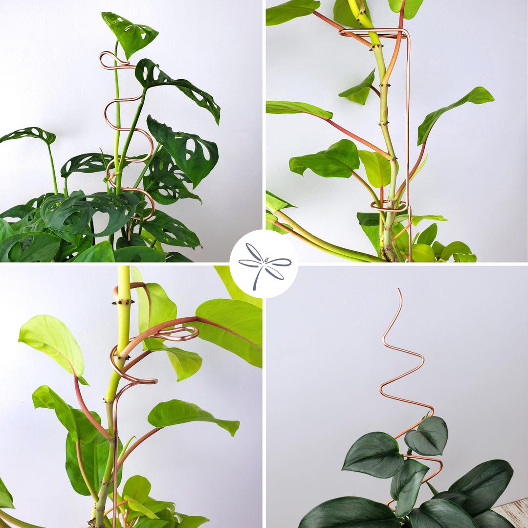 16" Decorative Plant Stakes, Copper Plant Supports, Modern Plant Sticks ...