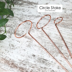 Decorative Copper Plant Stakes, Multiple Stem Support Stake, Modern ...