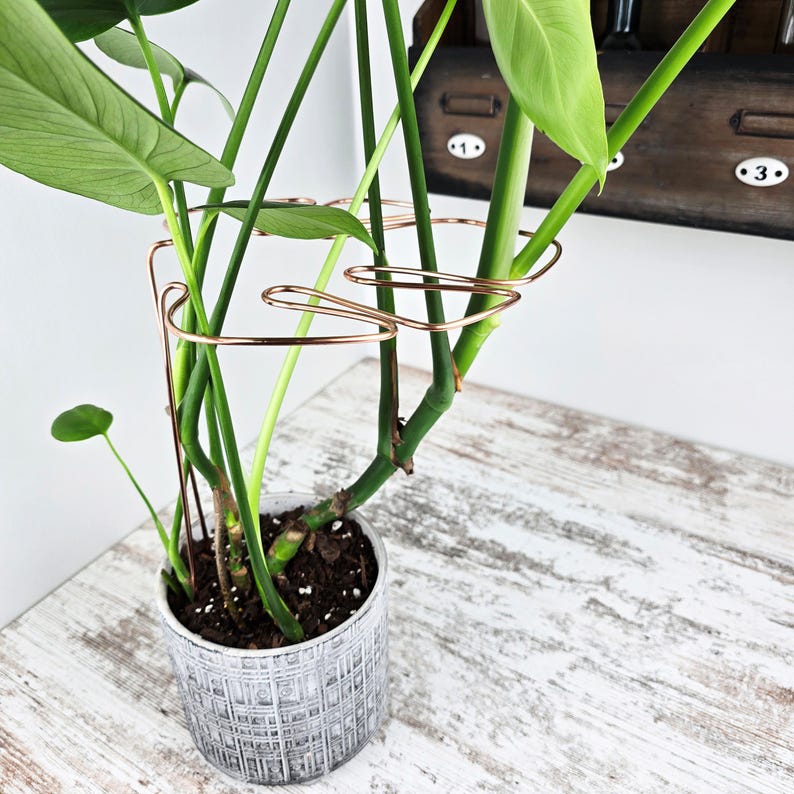 Monstera Leaf Plant Support Stake, Copper Indoor Plant Accessory, Plant ...