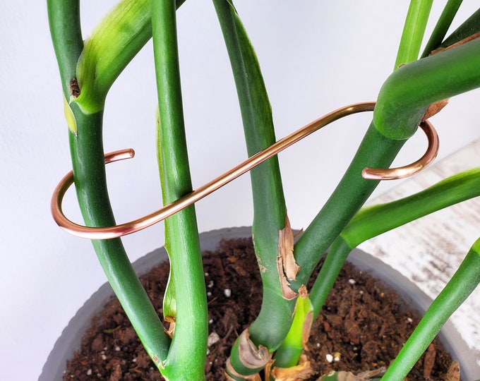 Twisted Copper 8 Inch Hoop Trellis Floral Moon Trellis Flower Hoya ...