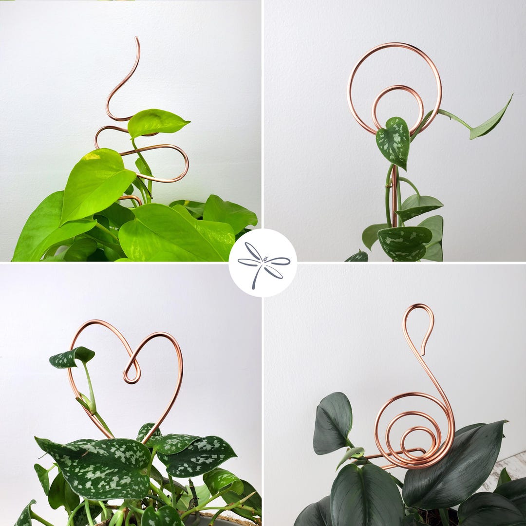 Copper Plant Trellis, Handcrafted Metal Plant Supports, Copper Plant ...