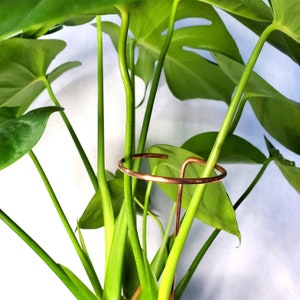 Plant Support Stake, Copper Plant Stakes, Indoor Plant Accessories ...