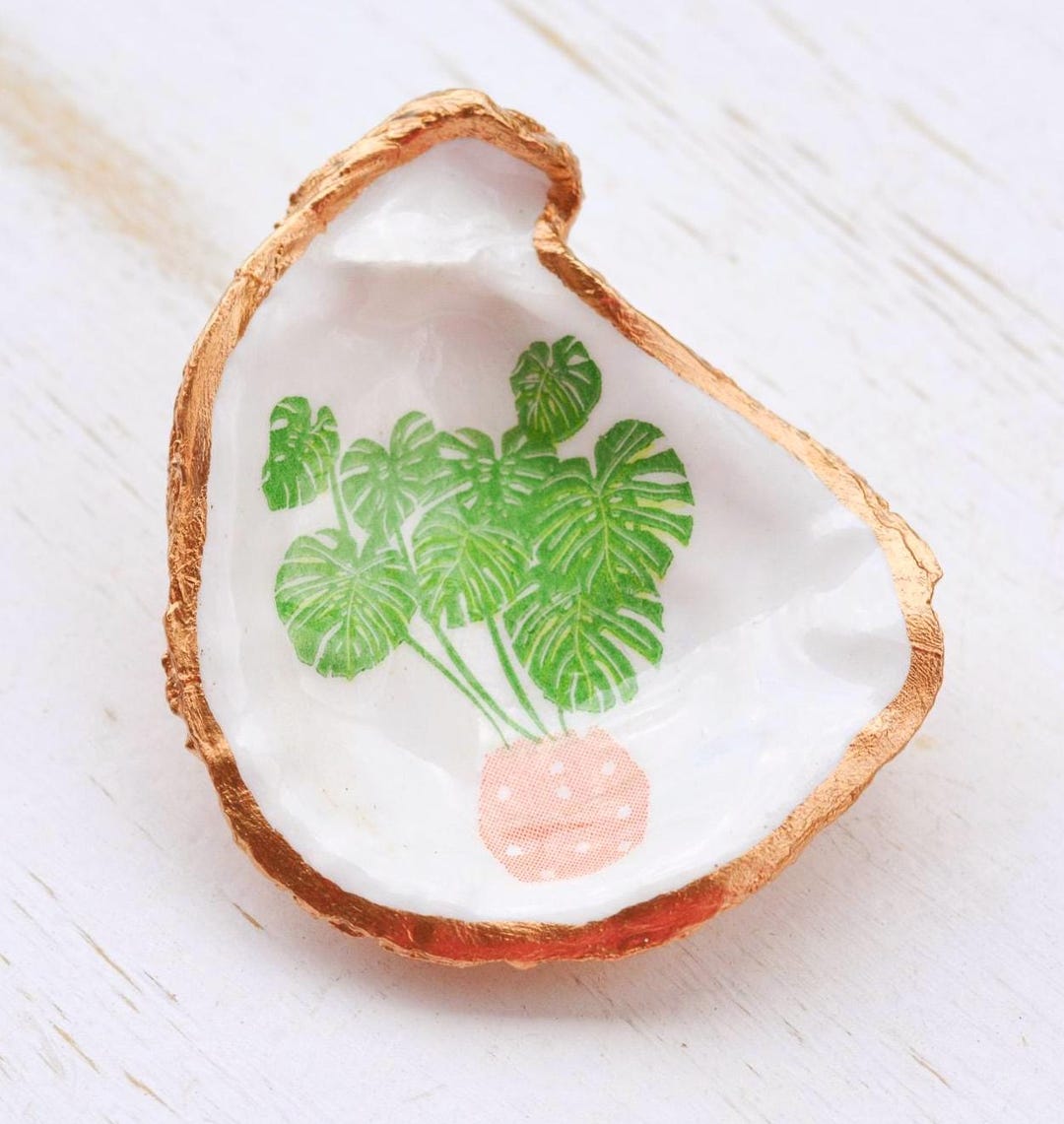 Monstera Plant Oyster Shell Trinket Dish, Ornament - Etsy