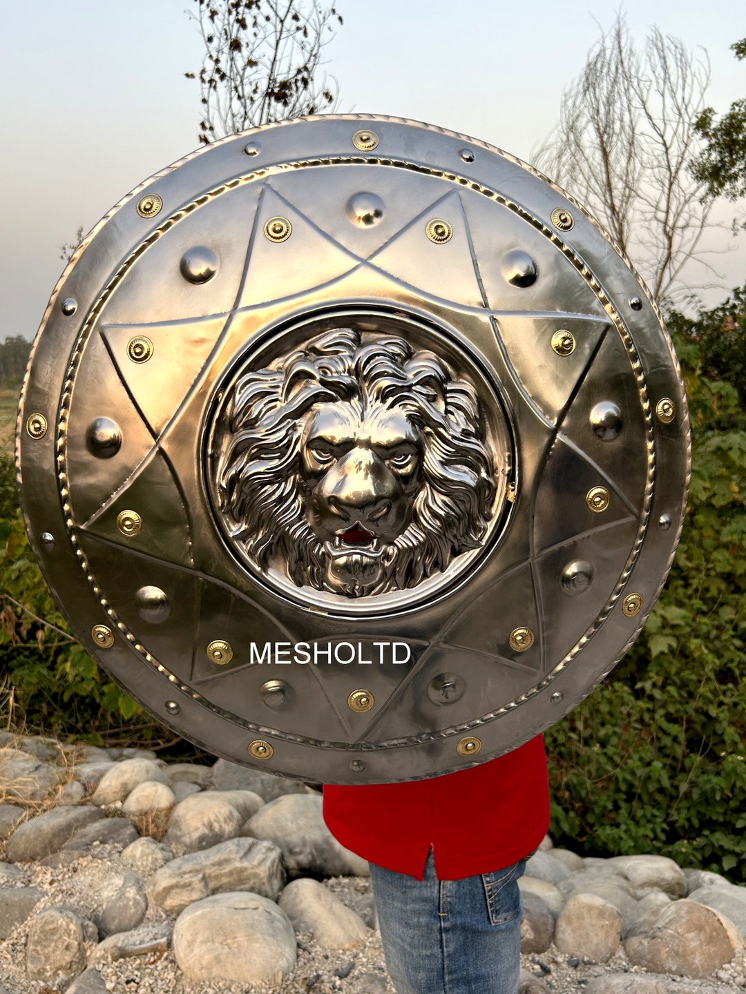 Medieval Lion Face Round Shield Battleworn Warrior Metal Shield Knight ...