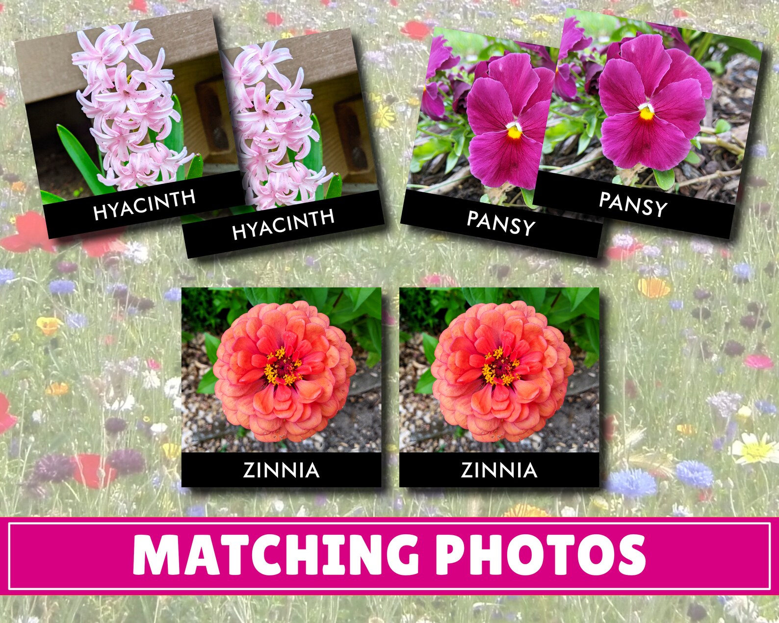 Flowers Matching Cards | Digital Download | Montessori Inspired ...