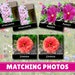 Flowers Matching Cards | Digital Download | Montessori Inspired ...
