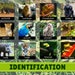 Rainforest Animals Matching Cards | Digital Download | Montessori ...