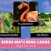 Birds Matching Cards With Bonus Fun Facts | Digital Download ...